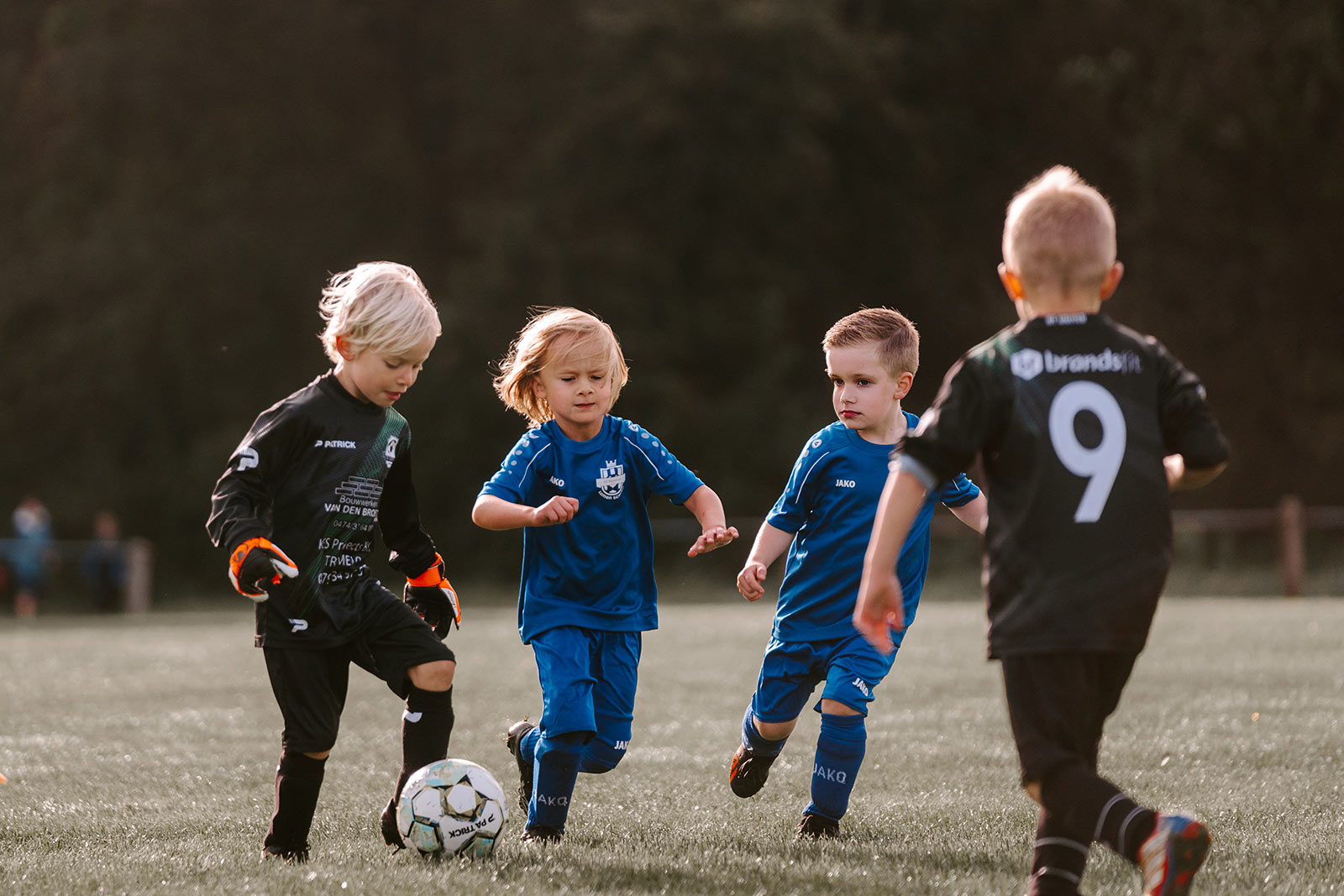 BT United, dé voetbalclub van Tremelo Baal